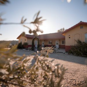 5 Paso Wine Experiences for Couples - Paso Robles Wineries